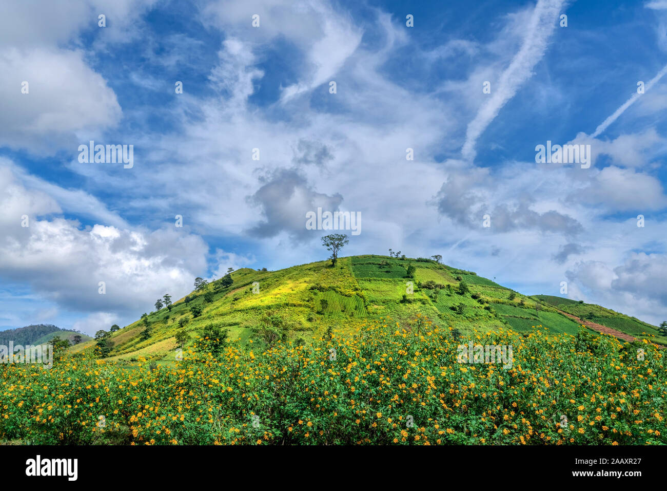 Aerial view of chu dang ya volcano hi-res stock photography and images ...