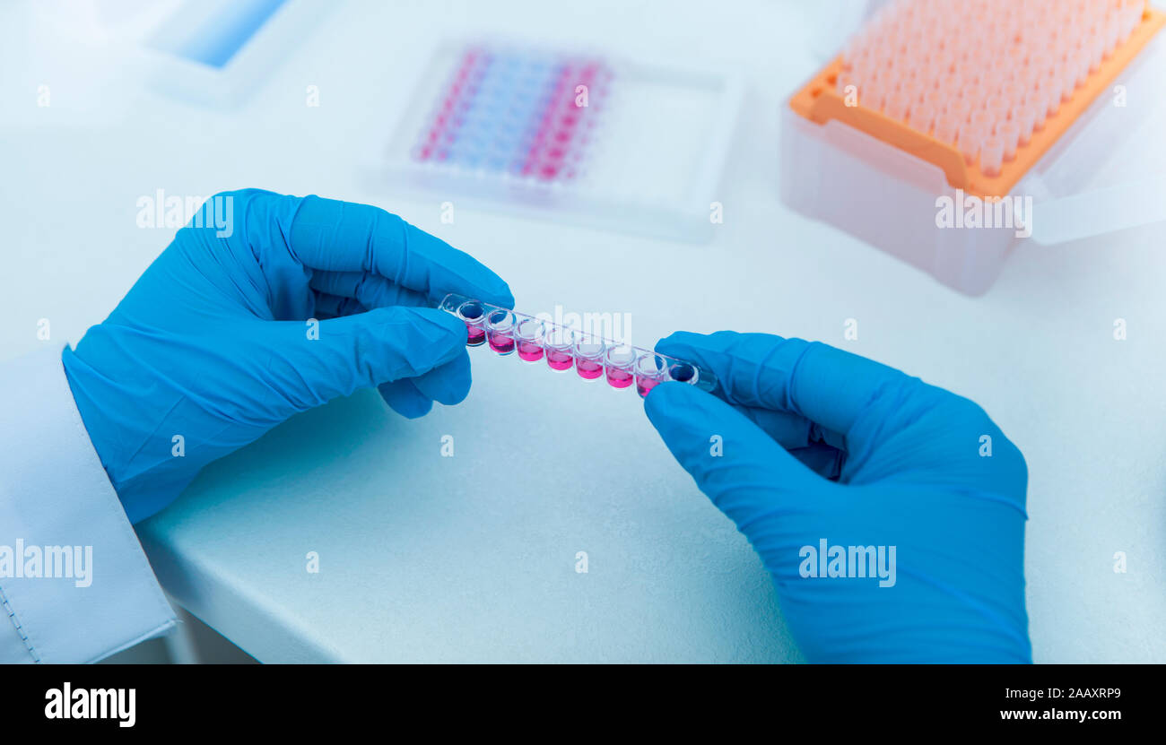 Test tubes with pink solution hi-res stock photography and images - Alamy
