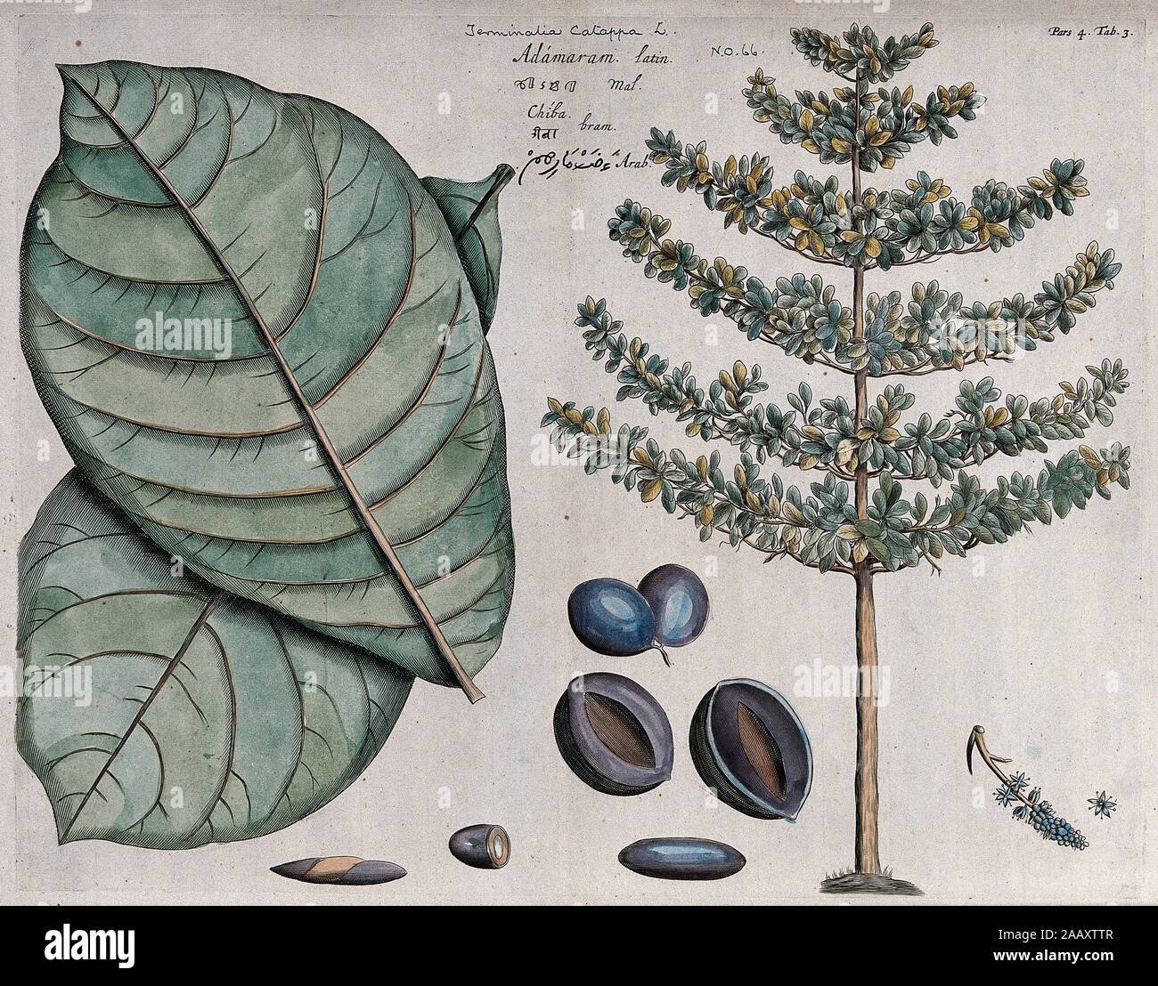 Soil cross sections hi-res stock photography and images - Alamy