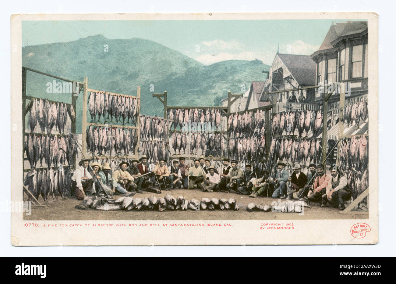 Five Ton Catch of Albacore, Avalon, Santa Catalina, Calif Ironmonger ...