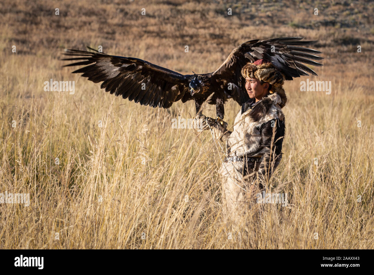 Portrait of a young kazakh eagle hunter with his majestic golden eagle ...