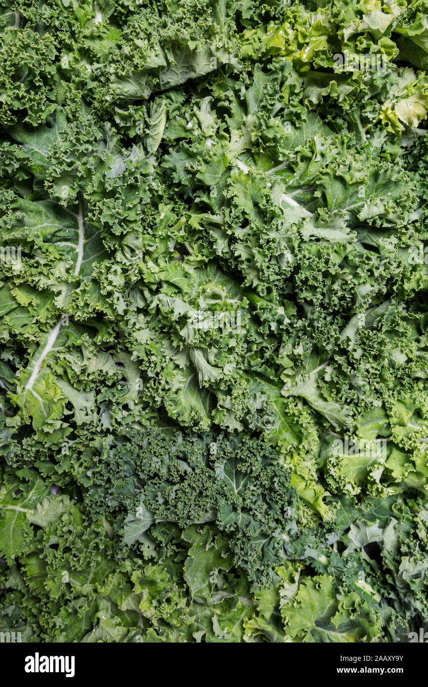 Curly cale plant hi-res stock photography and images - Alamy