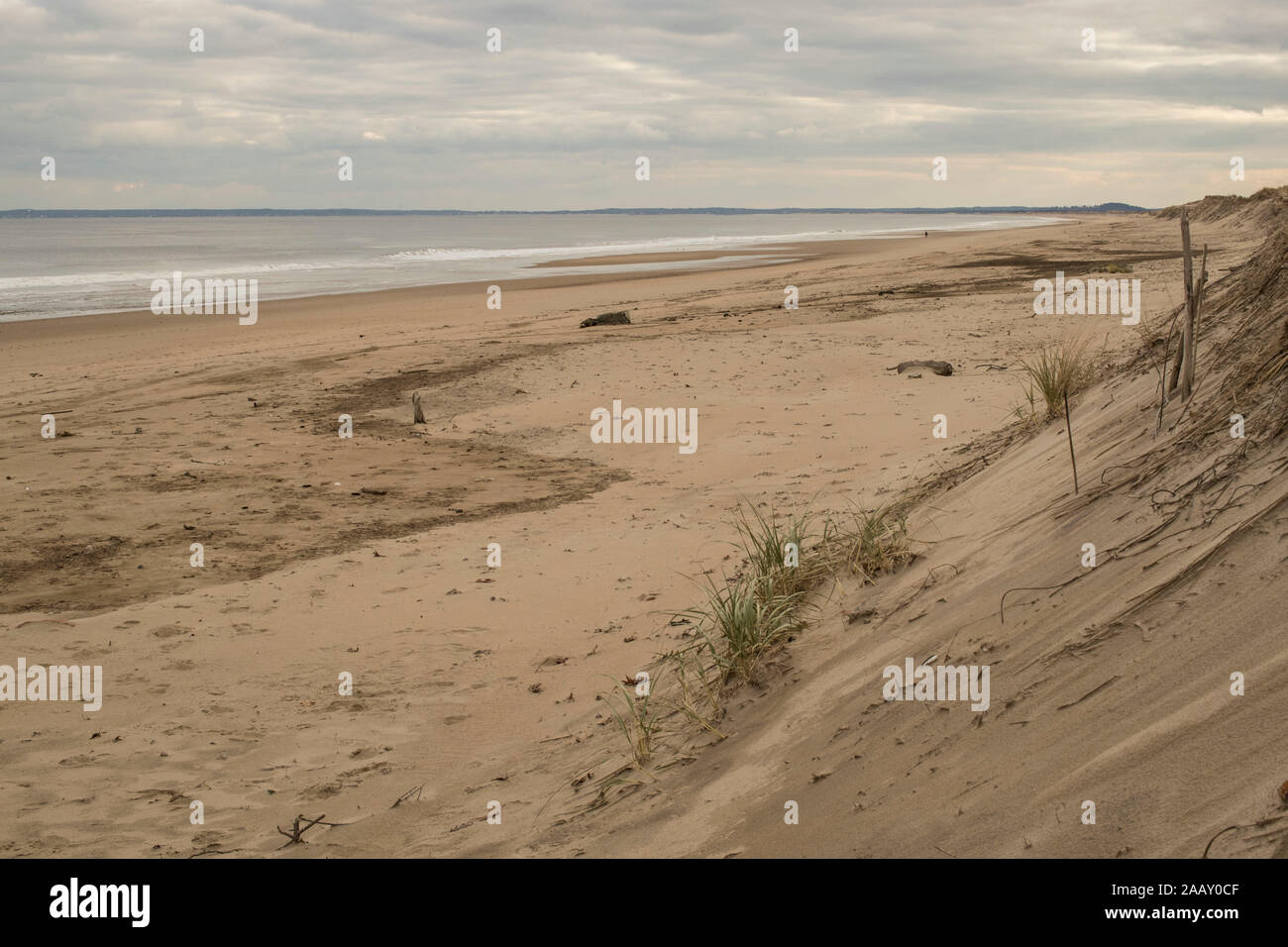 Plum Island is a barrier island off the coast of northeast ...