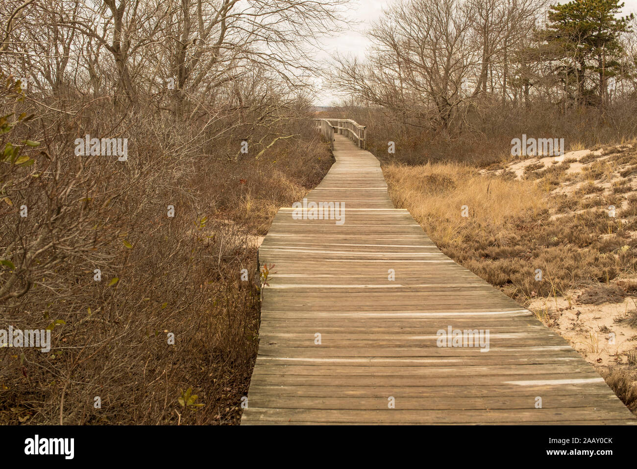 This boardwalk connects a large parking lot with the main beach and ...
