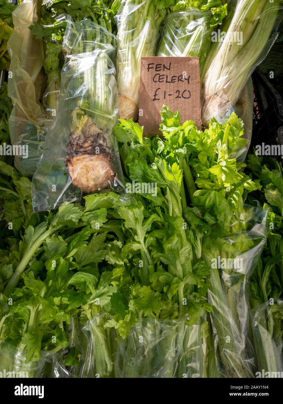 Fresh Fen celery for sale on a market stall in the UK Stock Photo - Alamy