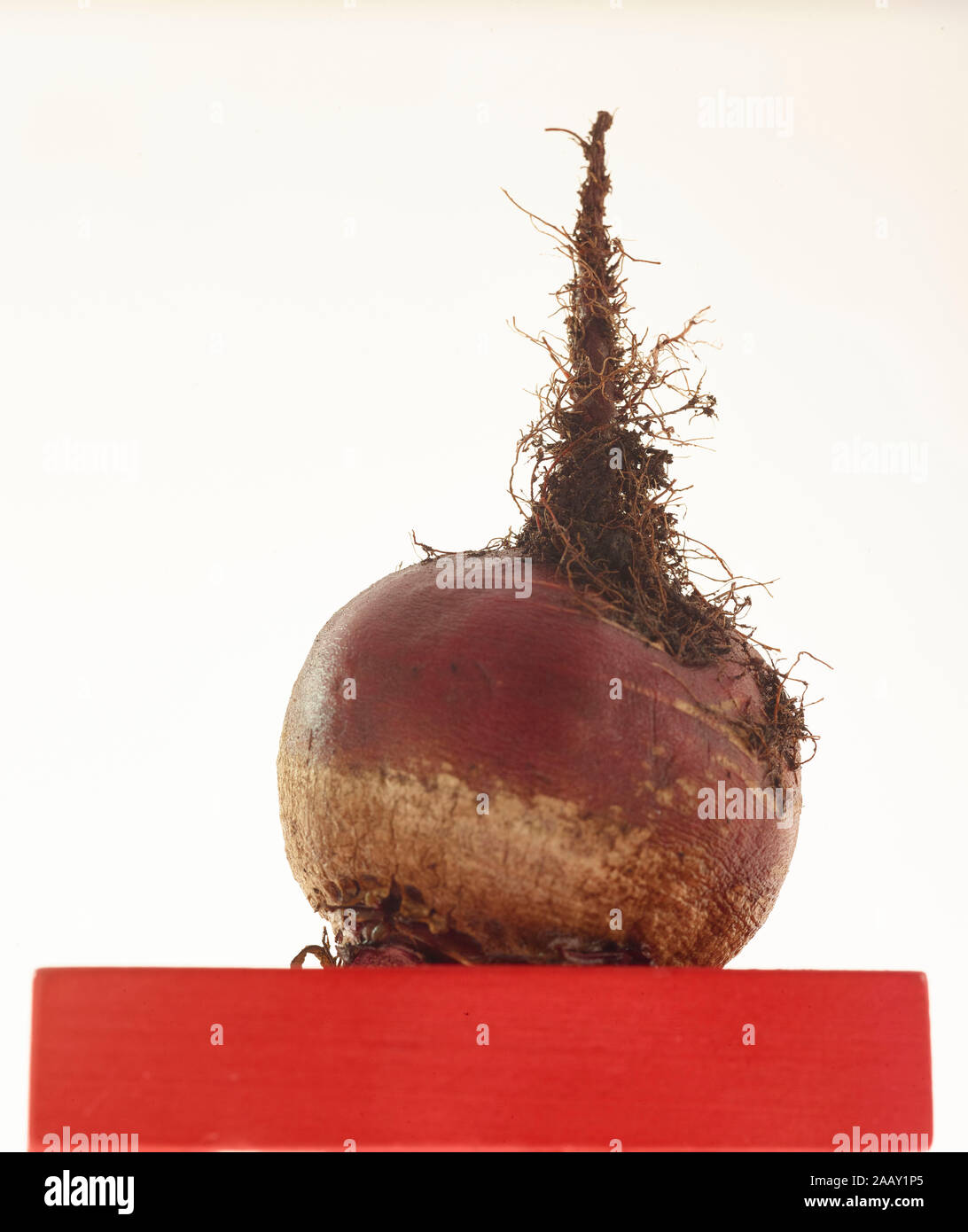 Beetroot against plain background, close-up food portrait Stock Photo ...