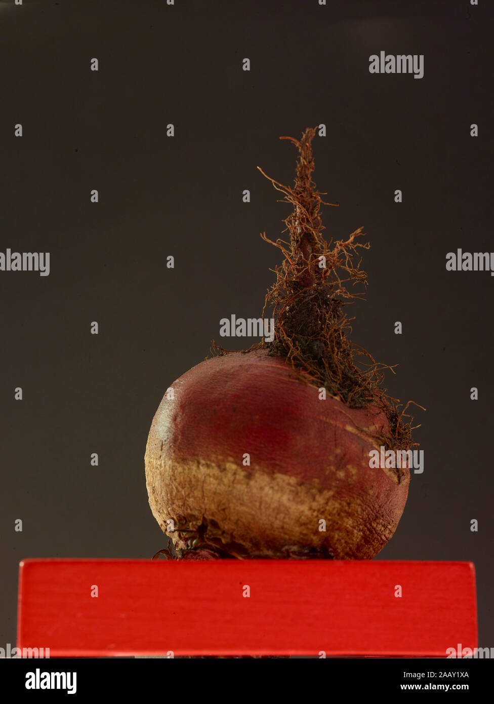 Beetroot against plain background, close-up food portrait Stock Photo ...