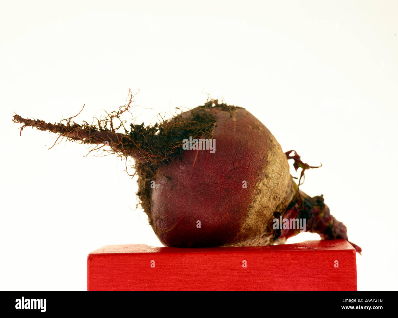 Beetroot against plain background, close-up food portrait Stock Photo ...