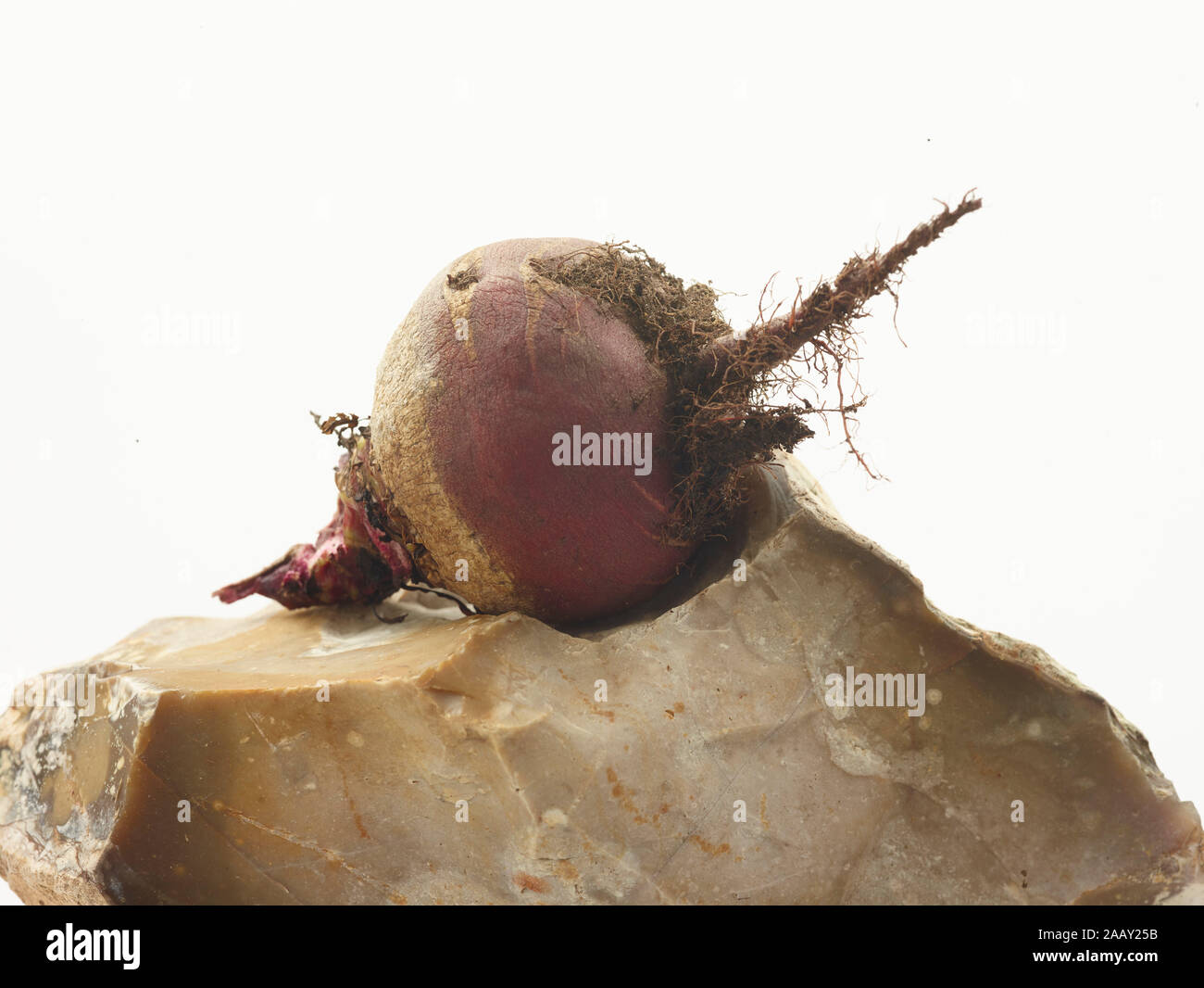 Beet rote beete hi-res stock photography and images - Alamy