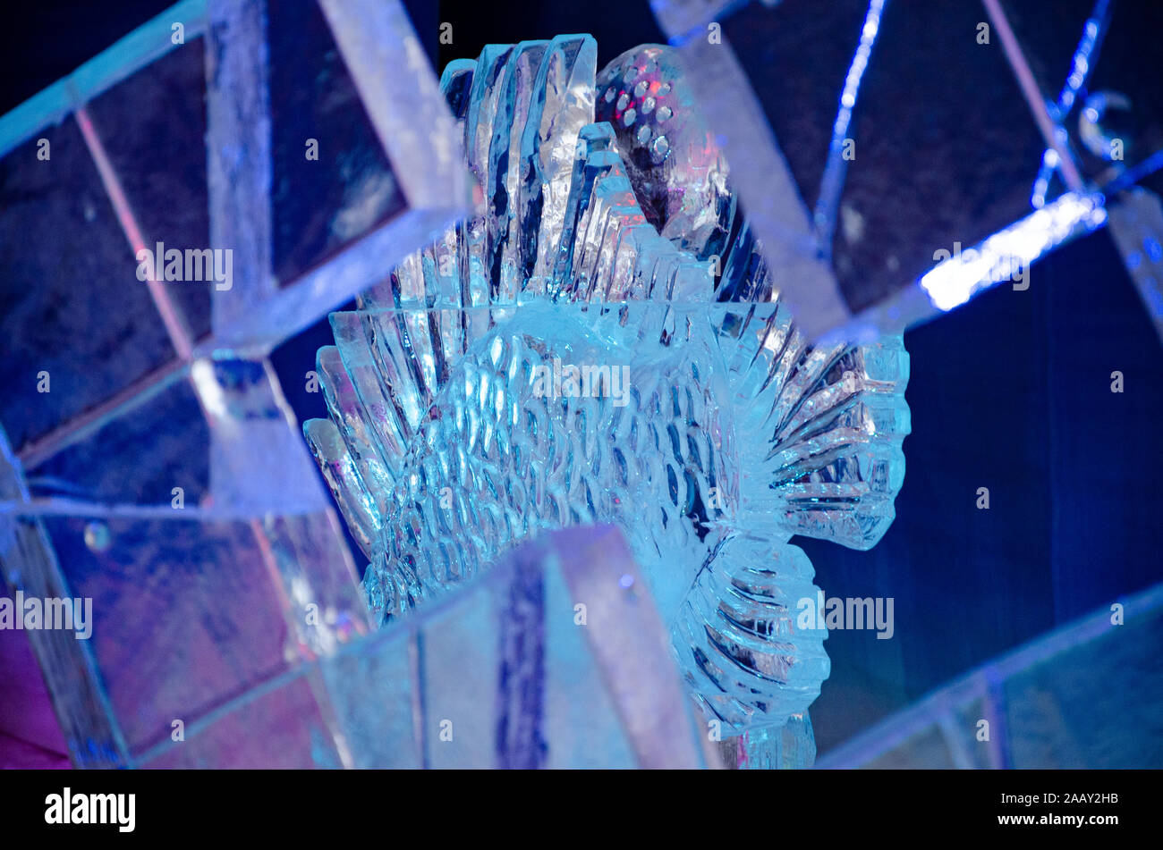 Pictures of the ice sculptures and art from the 2013 edition of ...