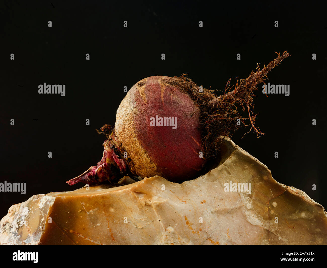 Beetroot against plain background, close-up food portrait Stock Photo ...