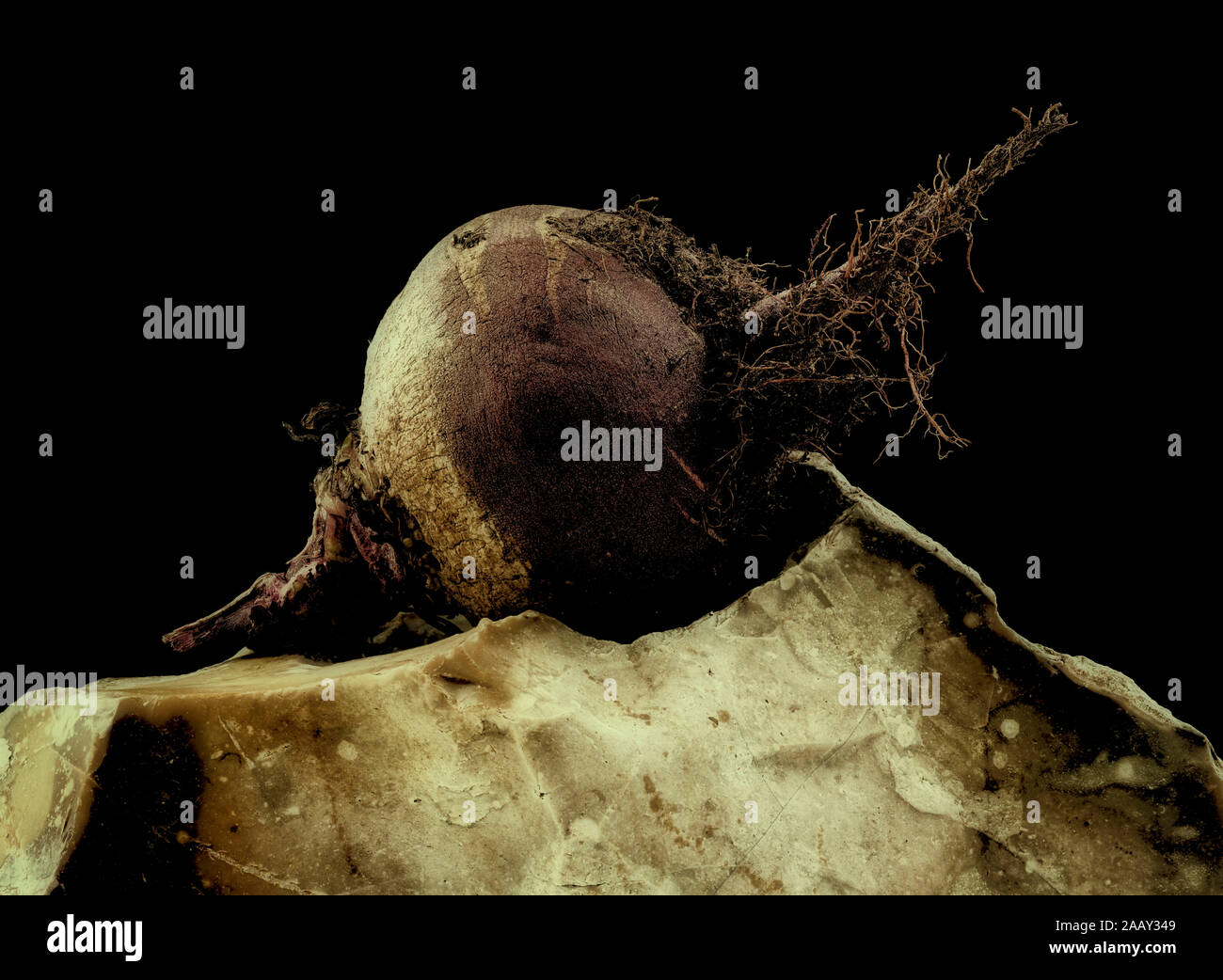 Beet rote beete hi-res stock photography and images - Alamy