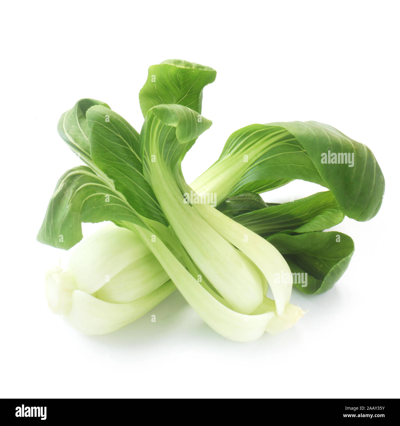 Pak Choi Isolated On White Stock Photo - Alamy