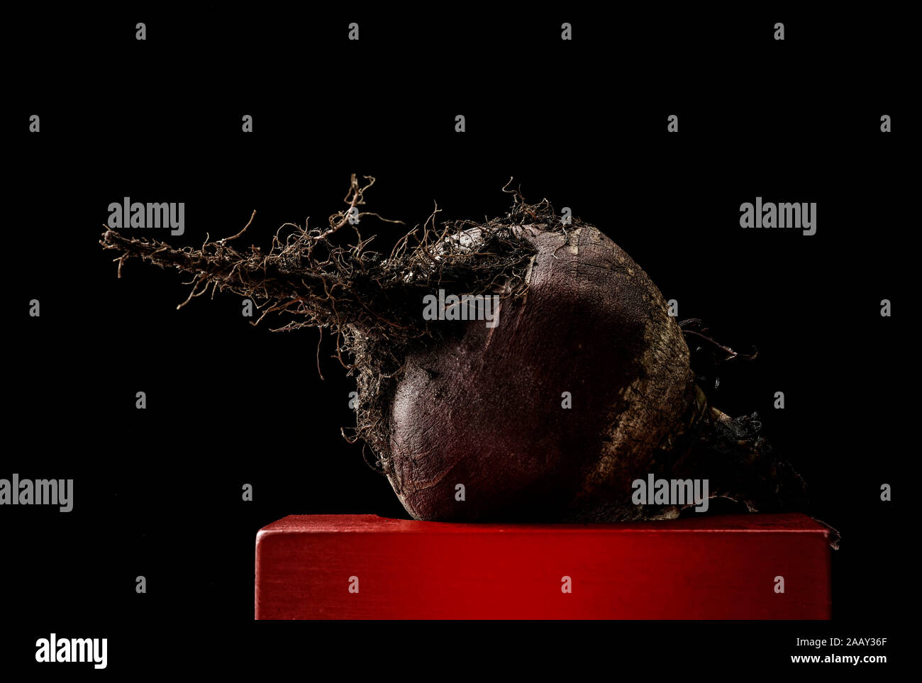 Beetroot against plain background, close-up food portrait Stock Photo ...