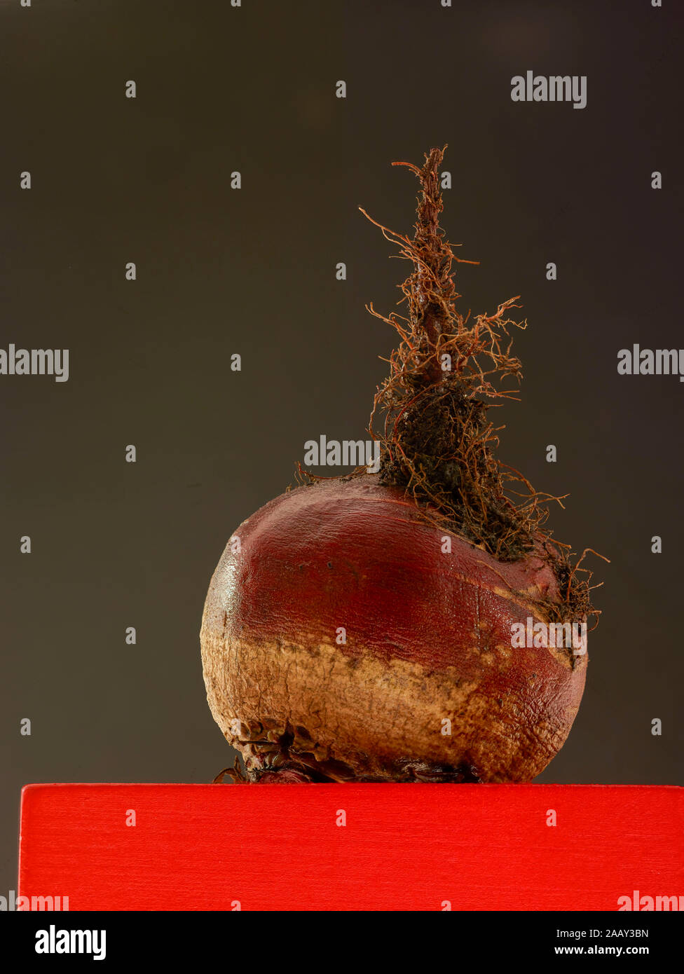 Beetroot against plain background, close-up food portrait Stock Photo ...