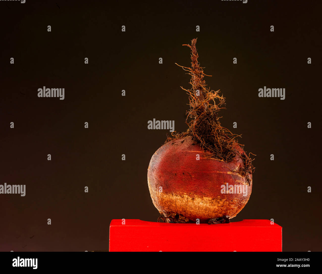Beetroot against plain background, close-up food portrait Stock Photo ...