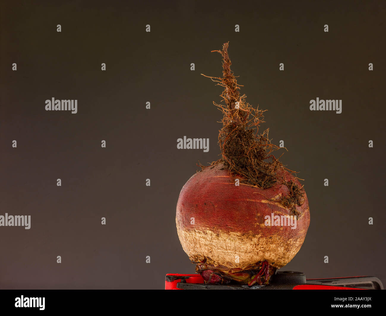 Beetroot against plain background, close-up food portrait Stock Photo ...