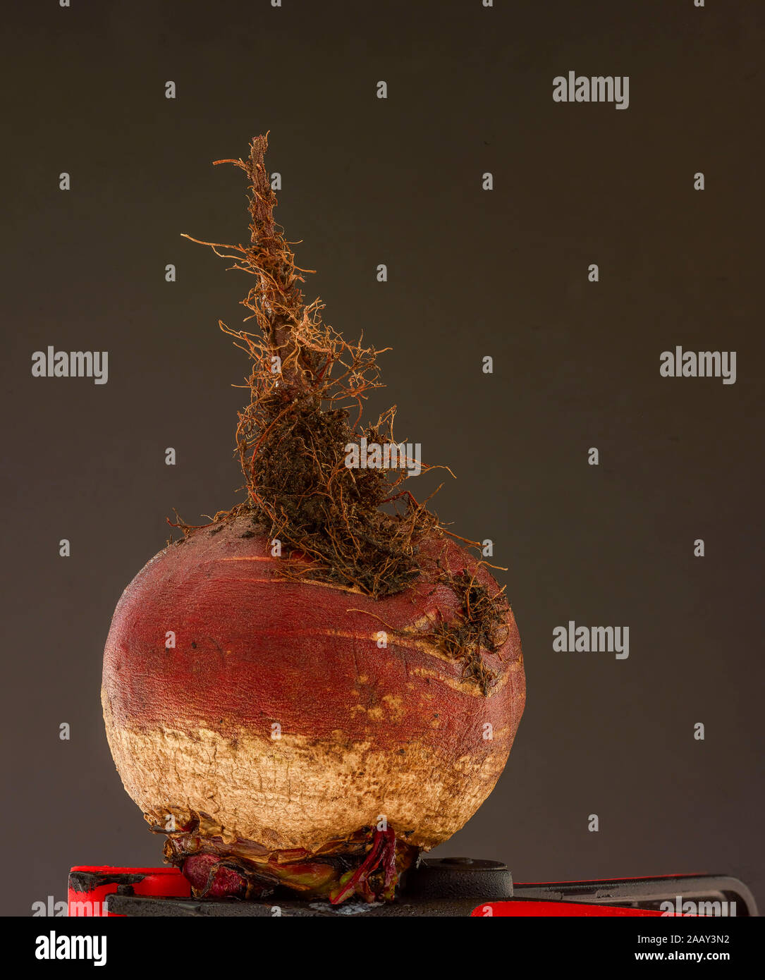 Beetroot vegetable food portrait still-life on plain background Stock ...