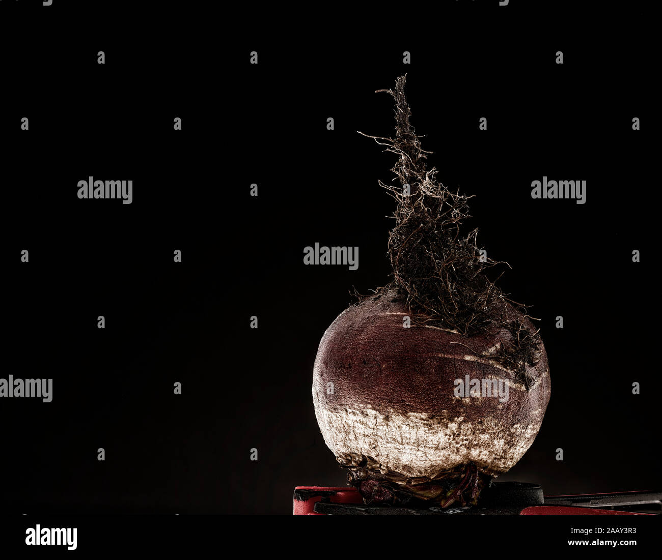 Beetroot vegetable food portrait still-life on plain background Stock ...