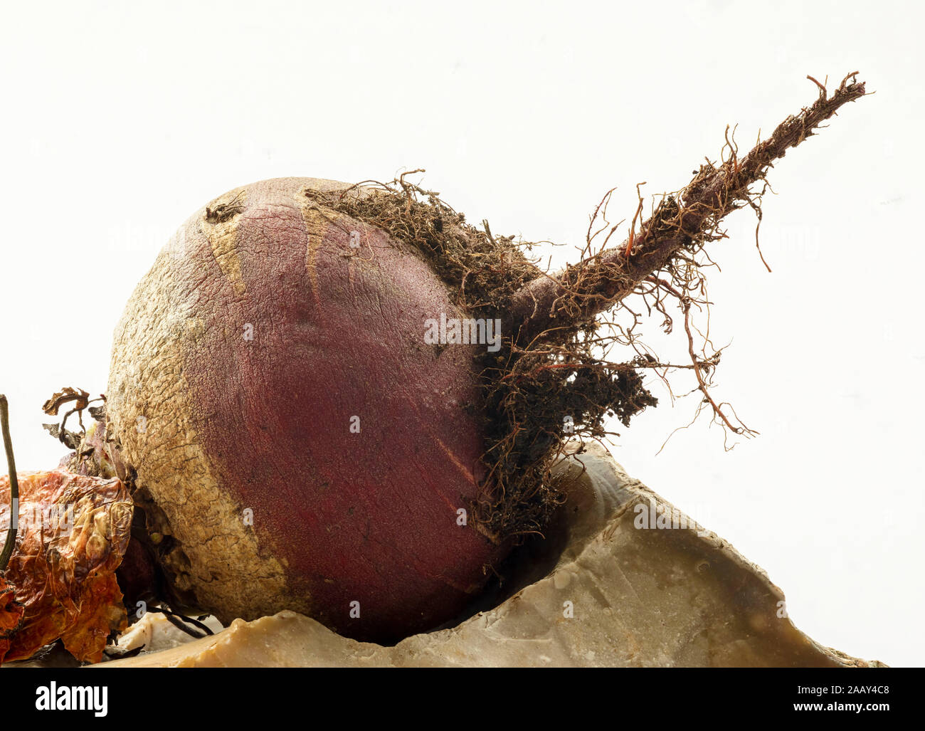 Beetroot vegetable food portrait still-life on plain background Stock ...