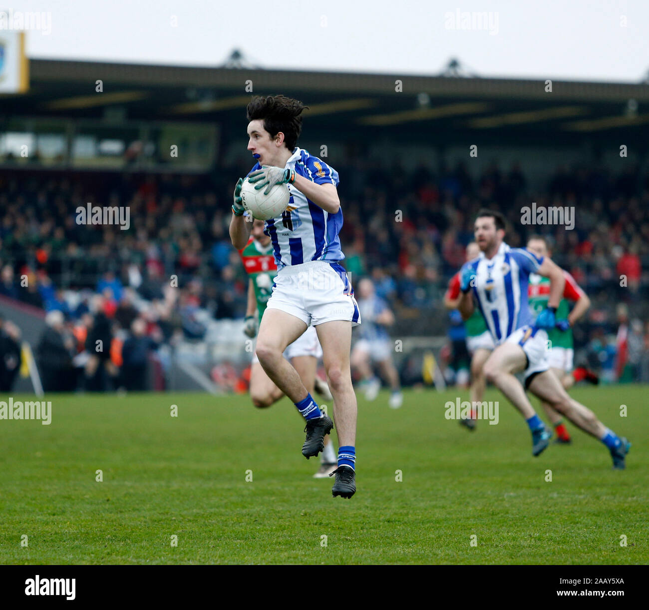 Ciaran oreilly hi-res stock photography and images - Alamy