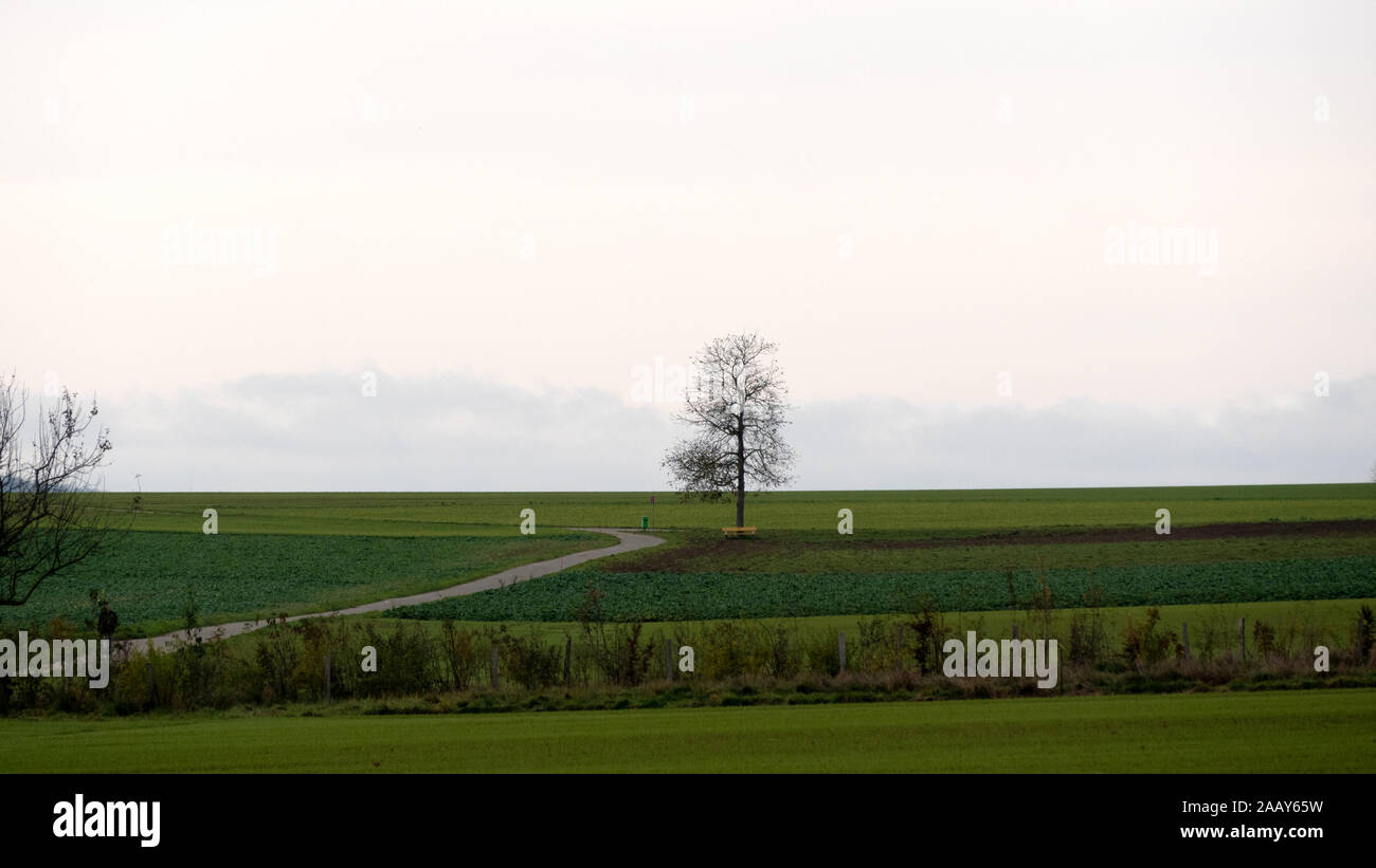 Cene rural hi-res stock photography and images - Alamy
