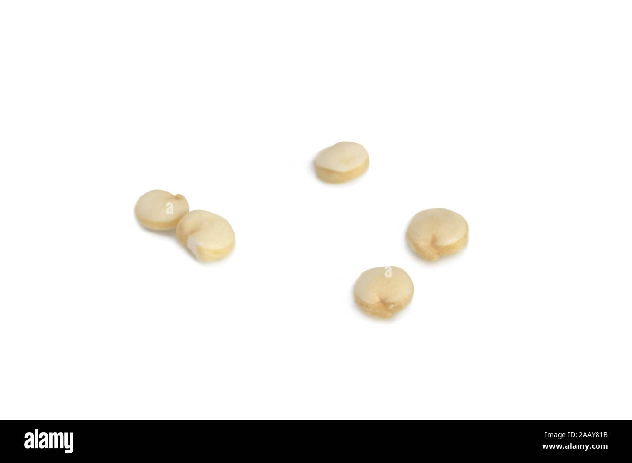 Melde hi-res stock photography and images - Alamy