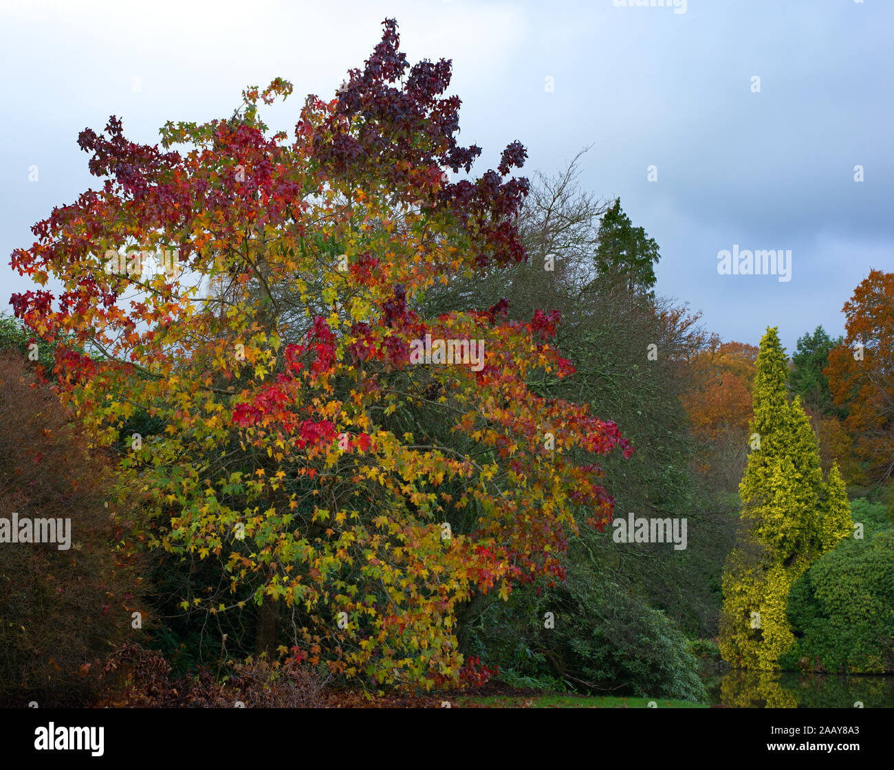 Sheffield forest sussex hi-res stock photography and images - Alamy