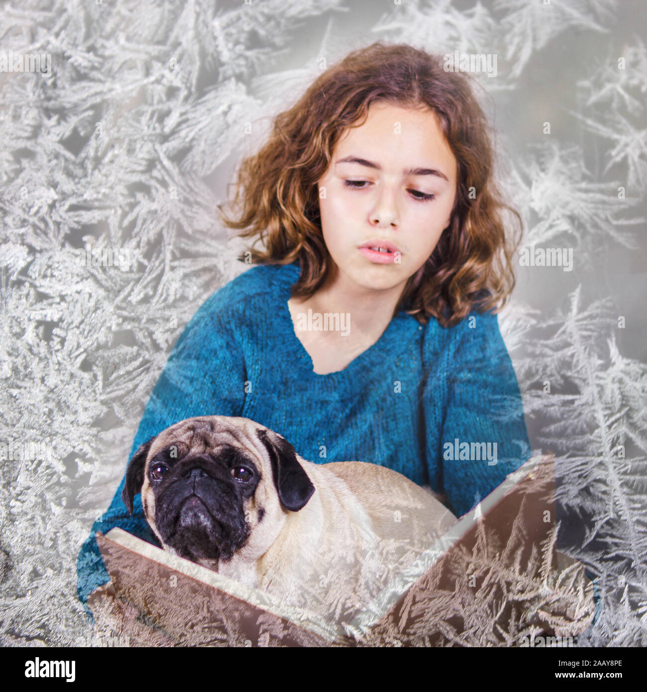 Cute teen girl is reading a book. Pug on the girl's lap. View through a ...