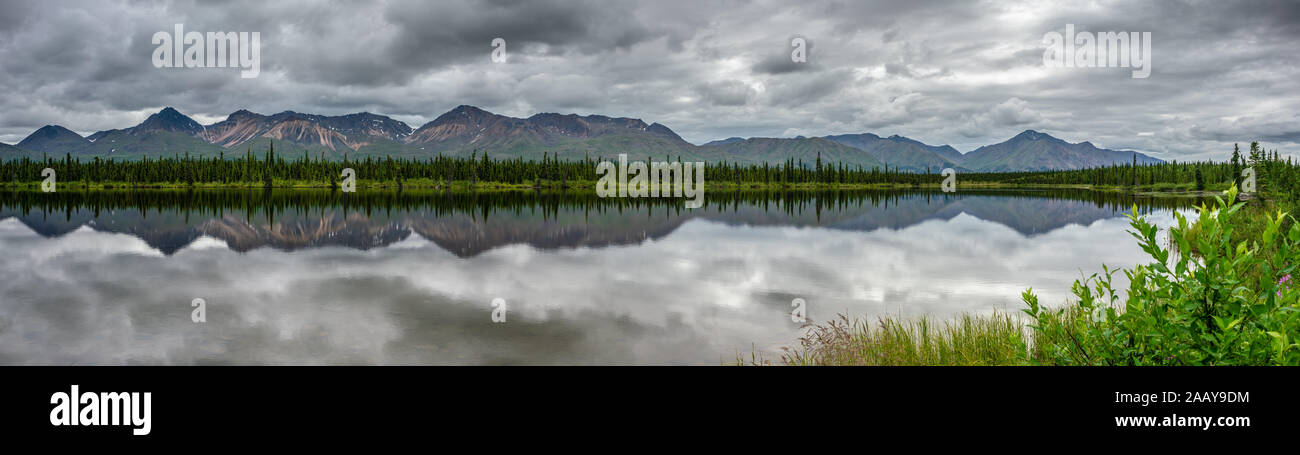 Alaska pine tree forest reflection on a lake under the clouds 32:9 ...