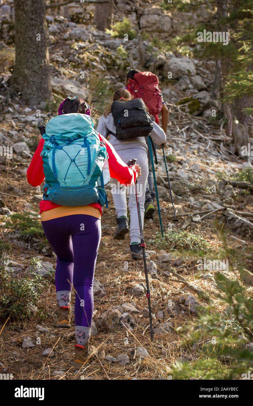 Mountain climbing. Three people go uphill with the trekking poles and ...