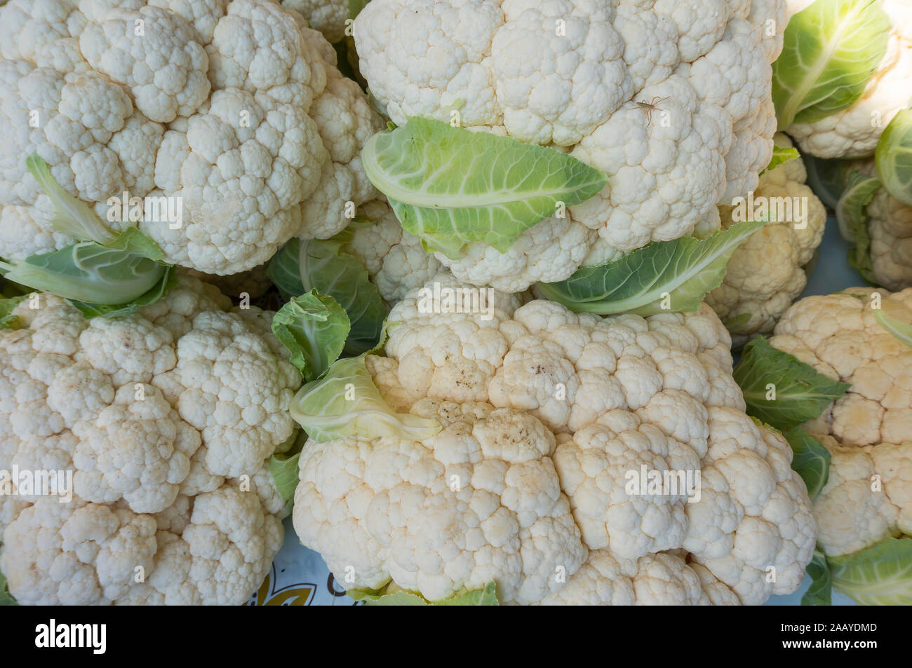 Raw vegetables and fruits background. Healthy organic food concept ...