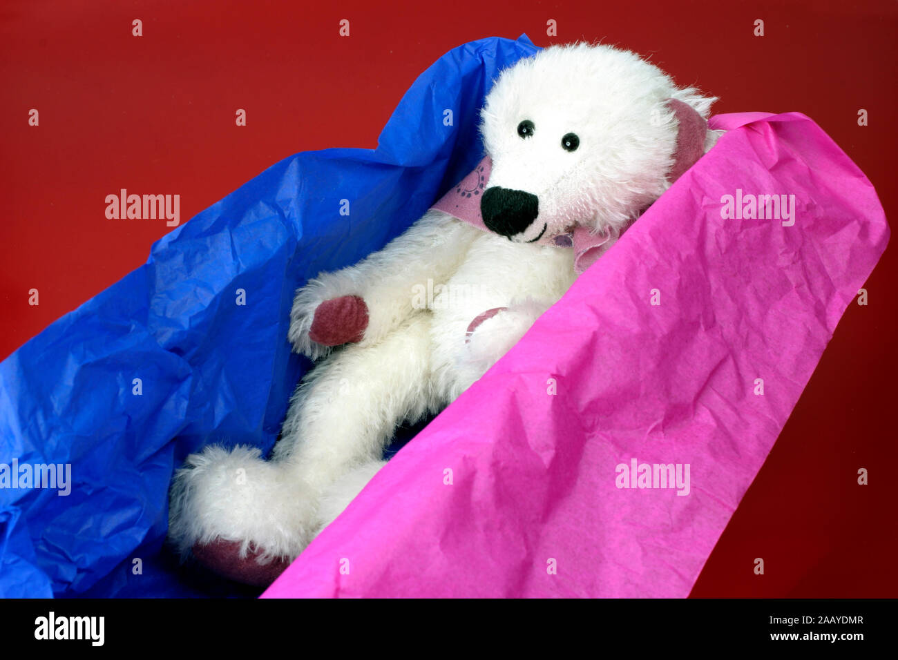 Teddy view hi-res stock photography and images - Alamy