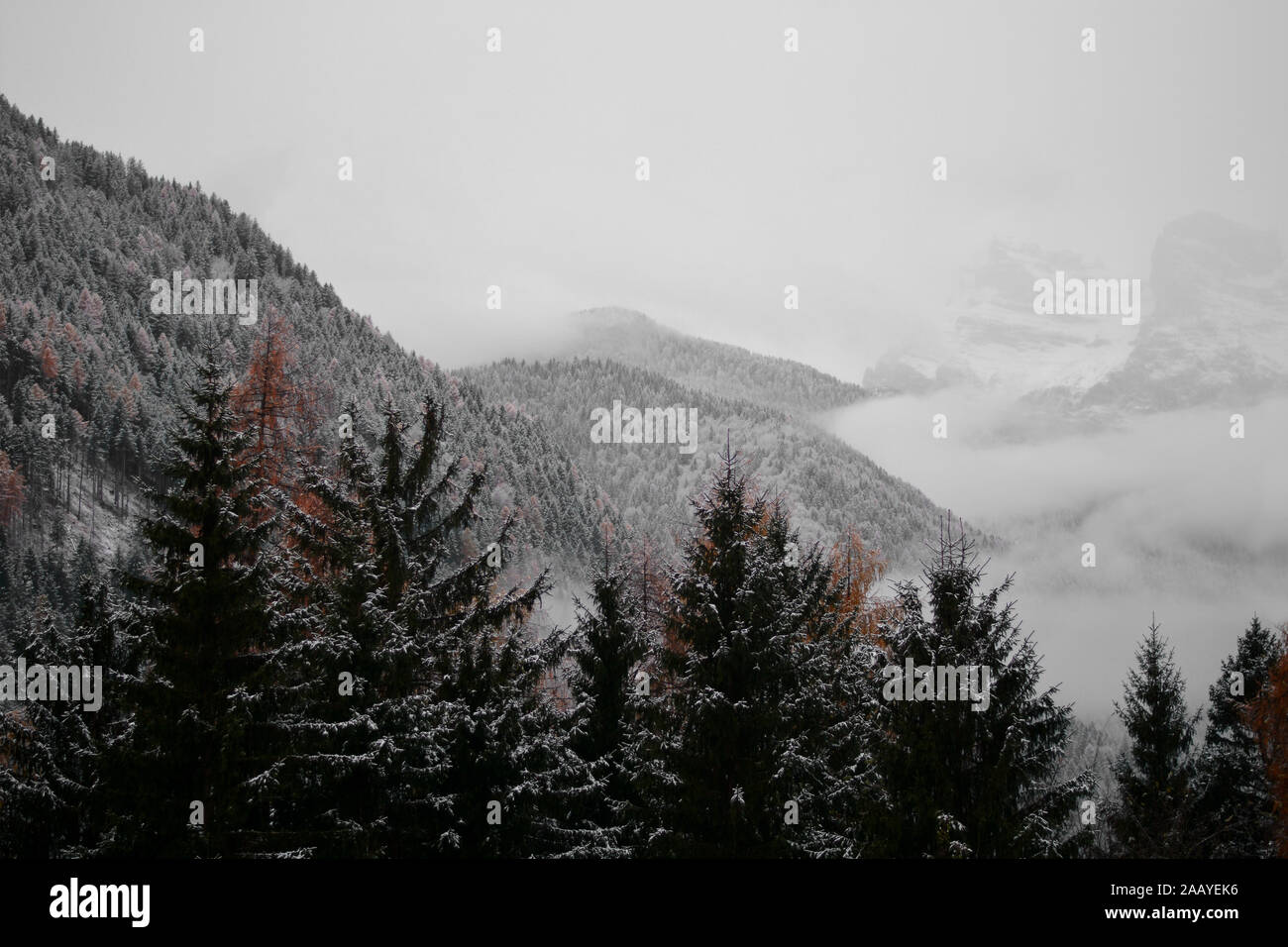 the first snowfall in autumn Stock Photo - Alamy