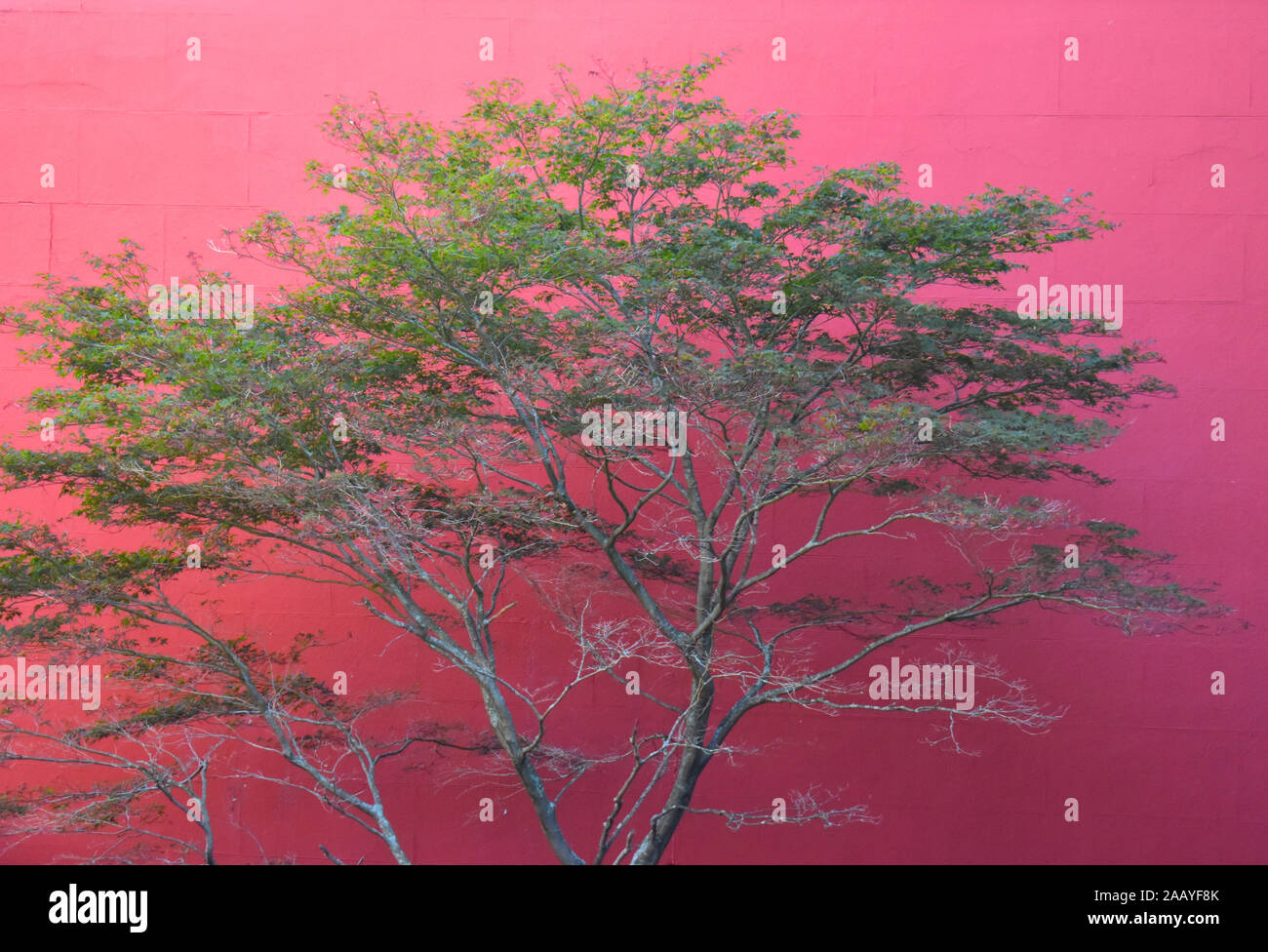 Random building hi-res stock photography and images - Alamy