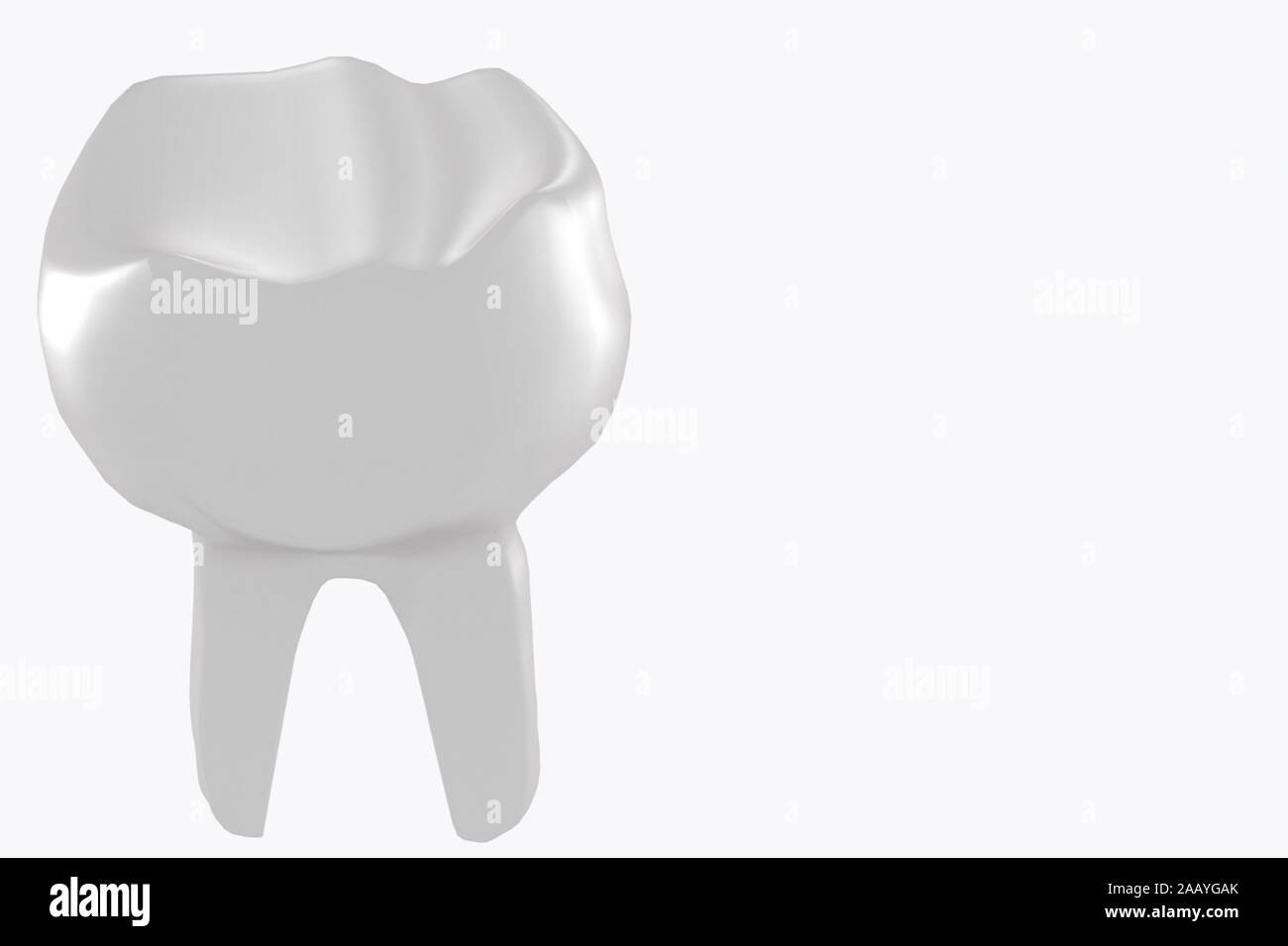 Molar tooth. The structure of the tooth. 3d medical illustration Stock ...
