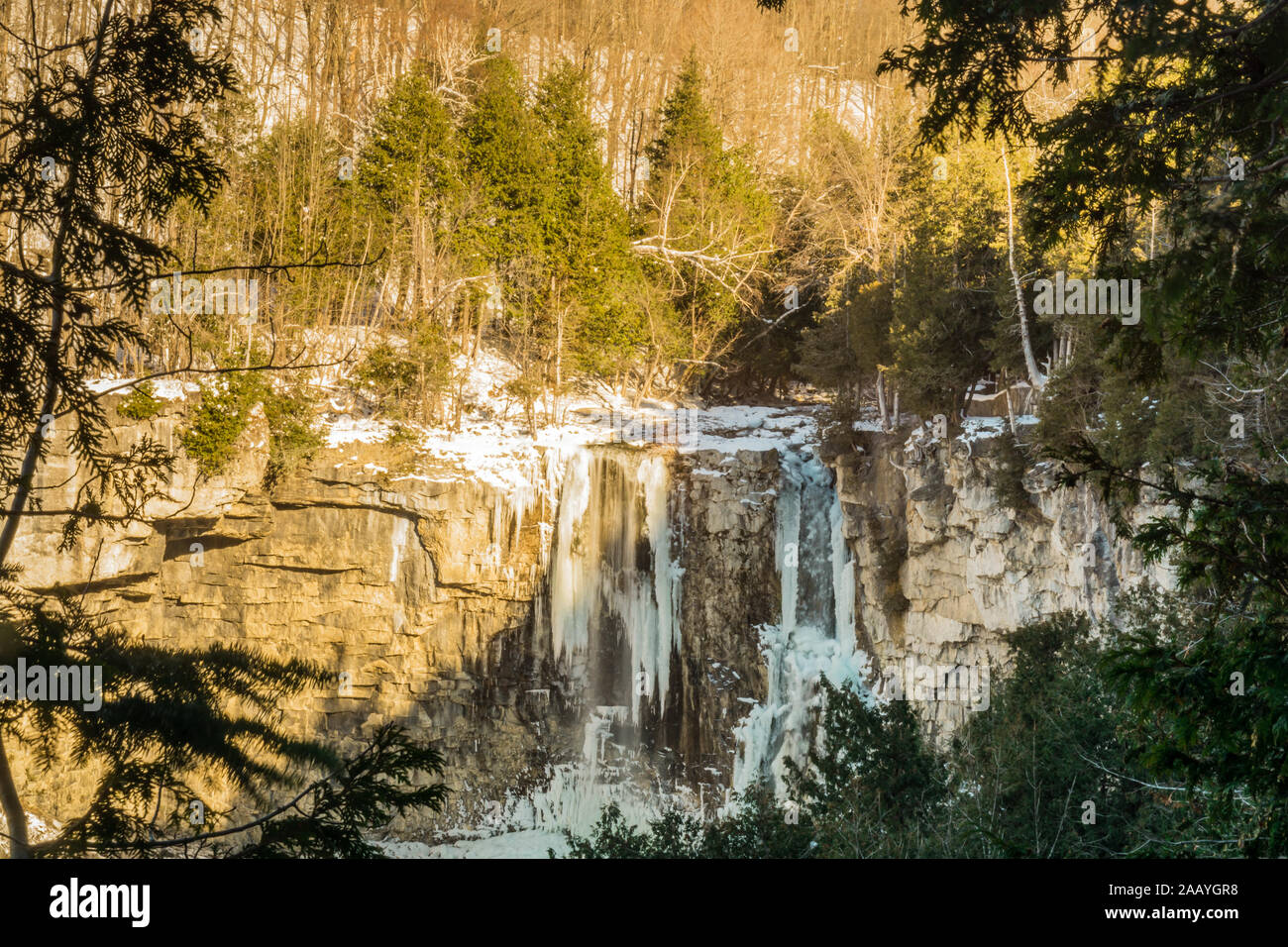 Grey Sauble Conservation Area Niagara Escarpment Bruce Peninsula Owen ...