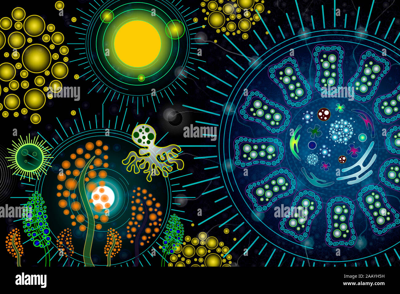 Evolution Life Cell High Resolution Stock Photography and Images - Alamy