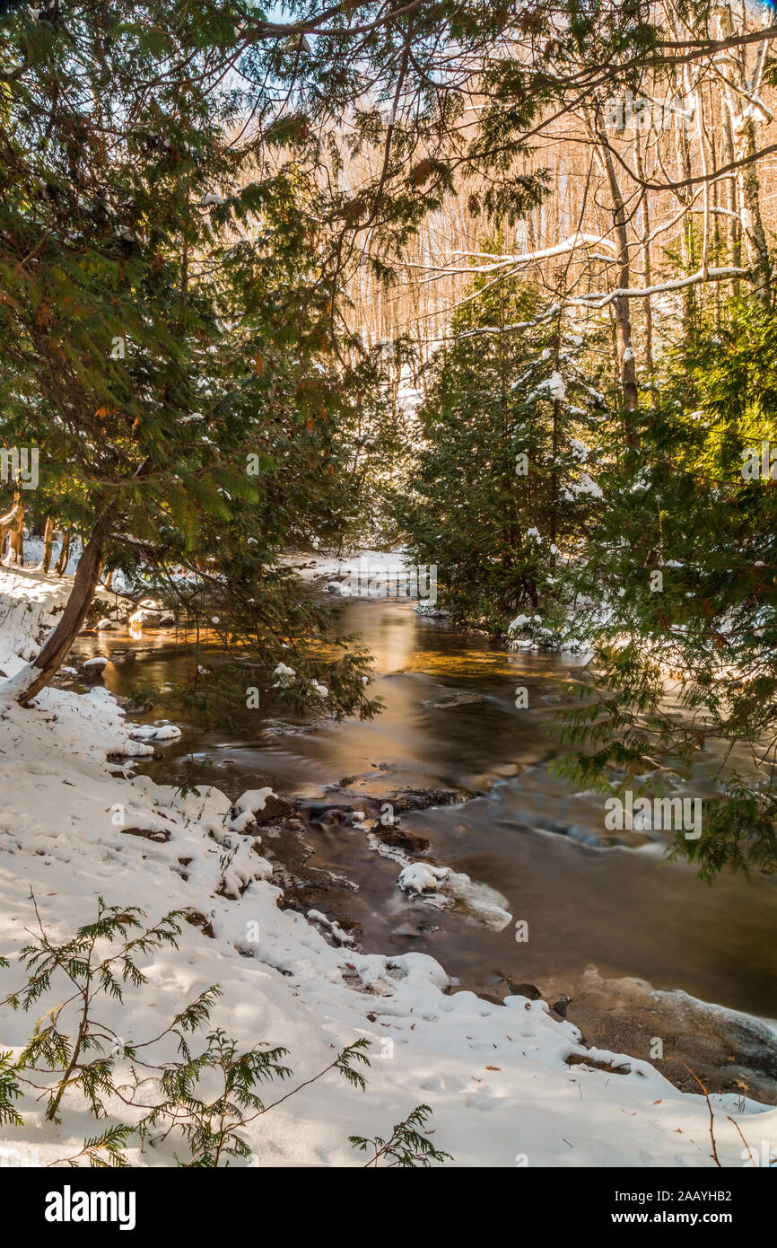 Grey Sauble Conservation Area Niagara Escarpment Bruce Peninsula Owen ...