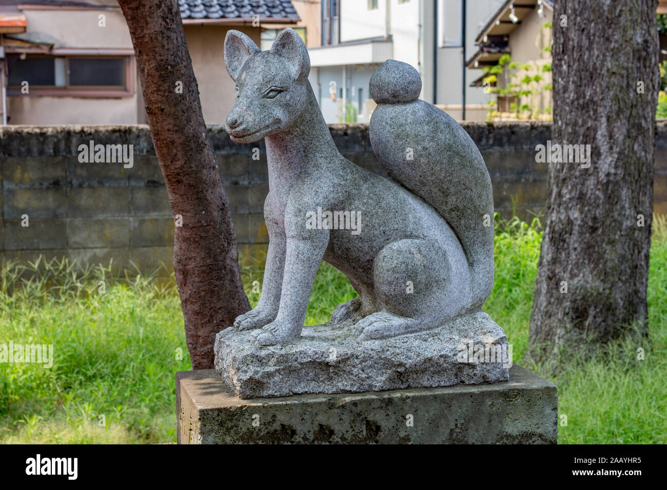 Historic stone statue of fox, or kitsune in Japanese, messenger of the ...