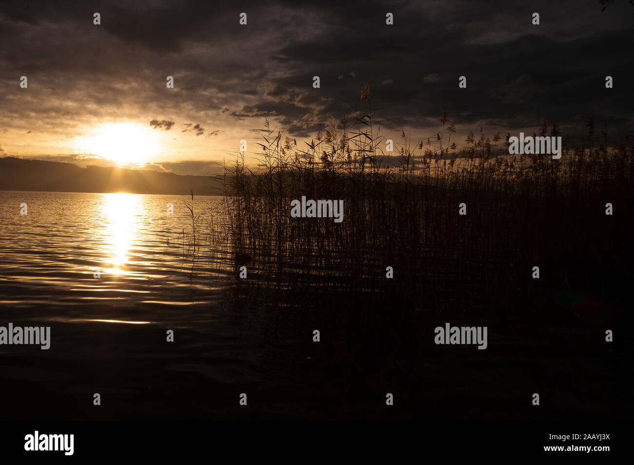 Sempach lake hi-res stock photography and images - Alamy