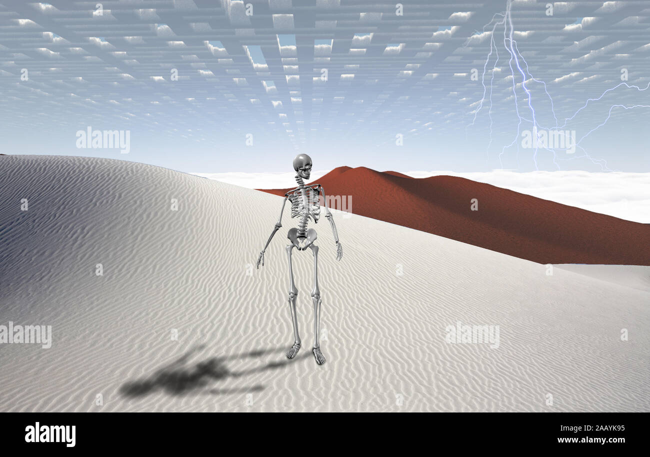 Human bones desert hi-res stock photography and images - Alamy