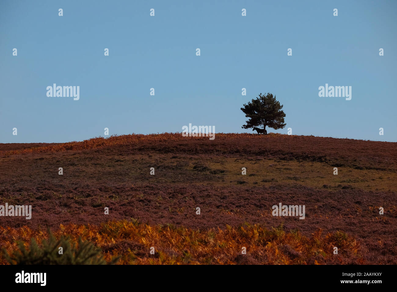 Midday sun landscape hi-res stock photography and images - Alamy