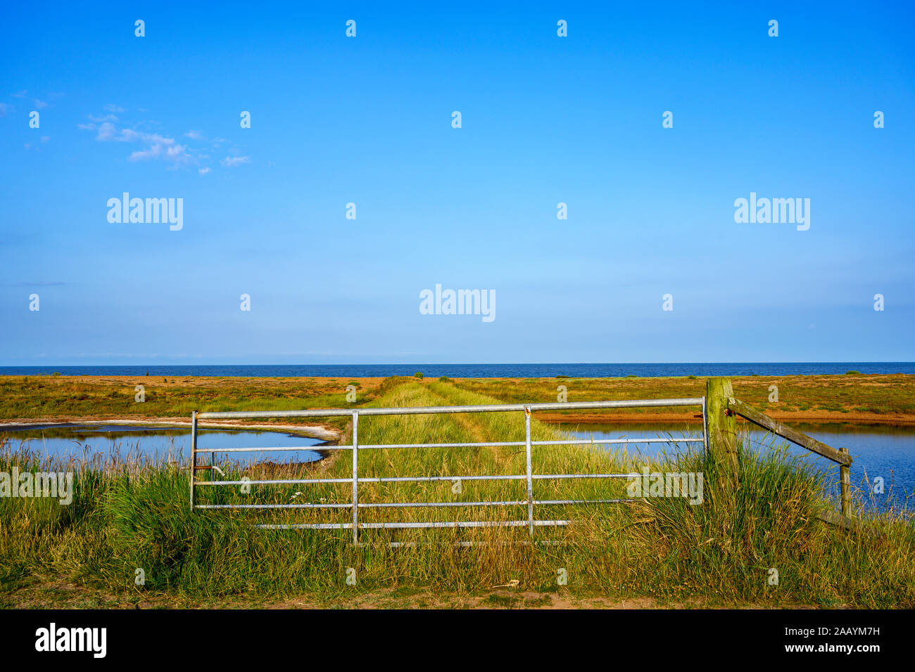 Salt water lagoons East Lane Bawdsey Suffolk England Stock Photo - Alamy