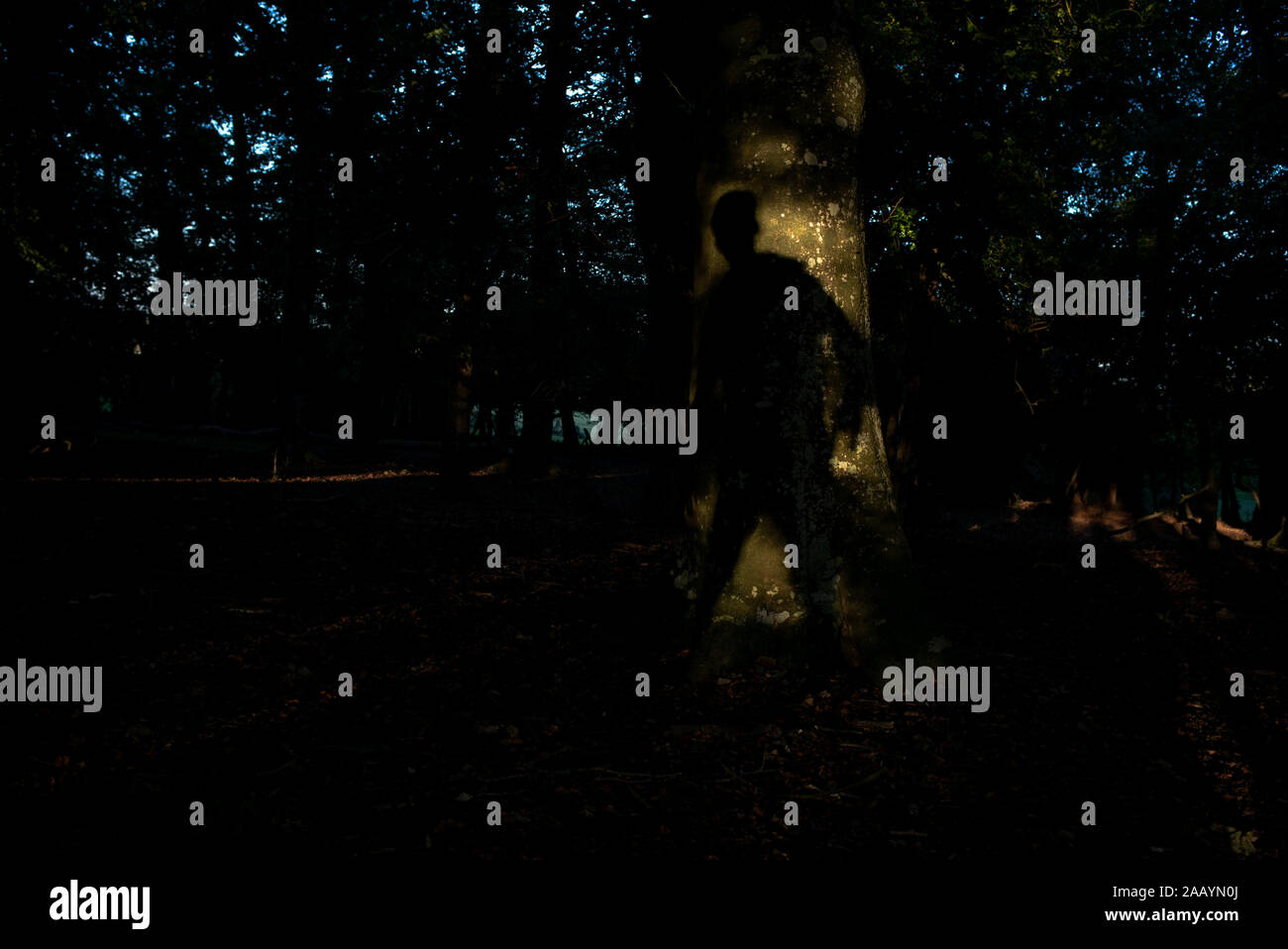 Shadow figure and ghost hi-res stock photography and images - Alamy