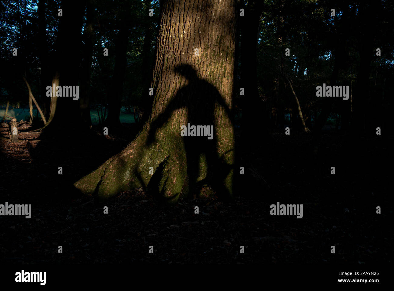 Silhouette of a mysterious male figure hi-res stock photography and ...