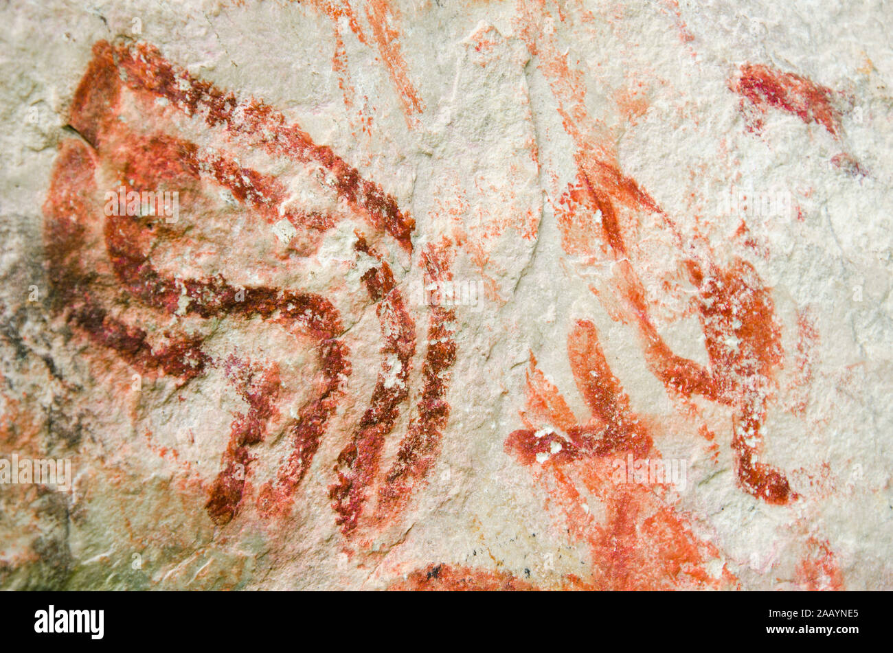 Rock with pictogram of Muisca pre-Columbian culture in the Piedras del ...