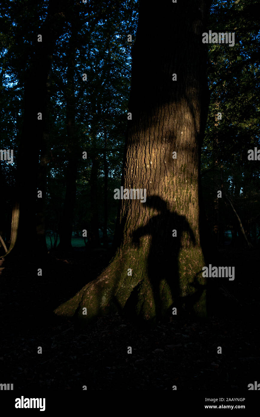 A concept image with multiple uses of a full length male shadow on a ...