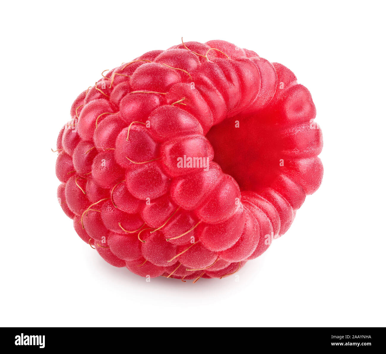 Raspberry isolated macro red close up fruit hi-res stock photography ...