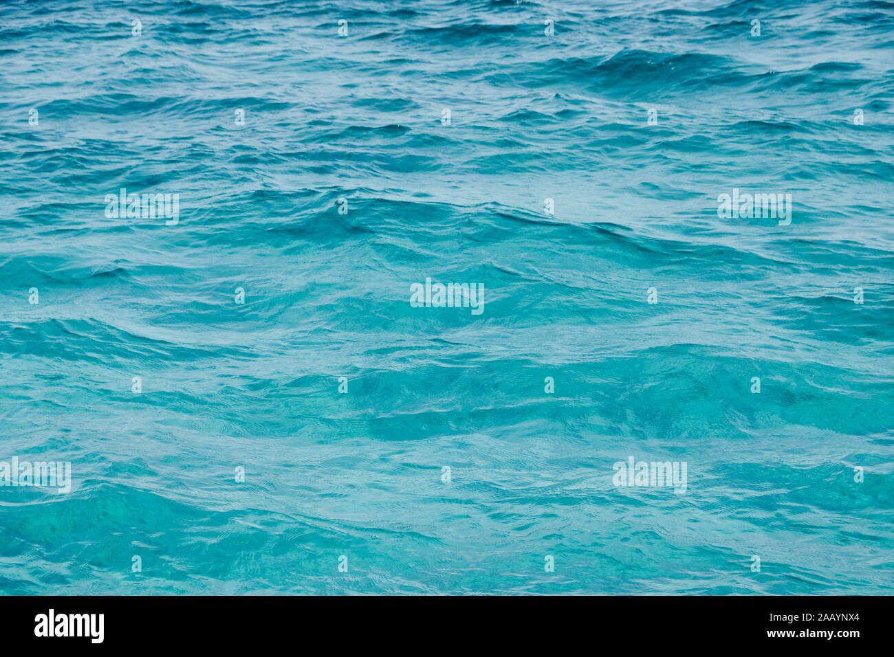 Transparent blue tropical sea hi-res stock photography and images - Alamy